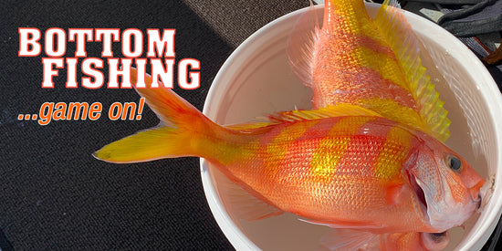 POP Fishing & Marine – POP Fishing & Marine