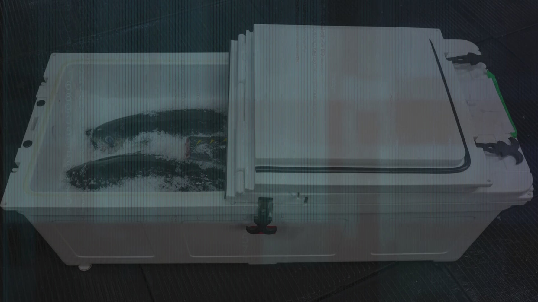 POP Fishing & Marine – POP Fishing & Marine